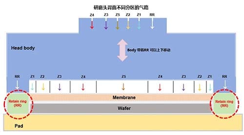 How Does the Retain Ring Affect Wafer Edge Profile? - Precision ...
